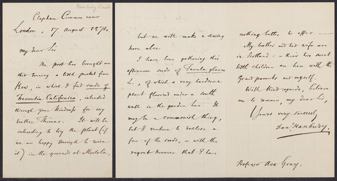 40. Hanbury Brothers - The Clapham Society